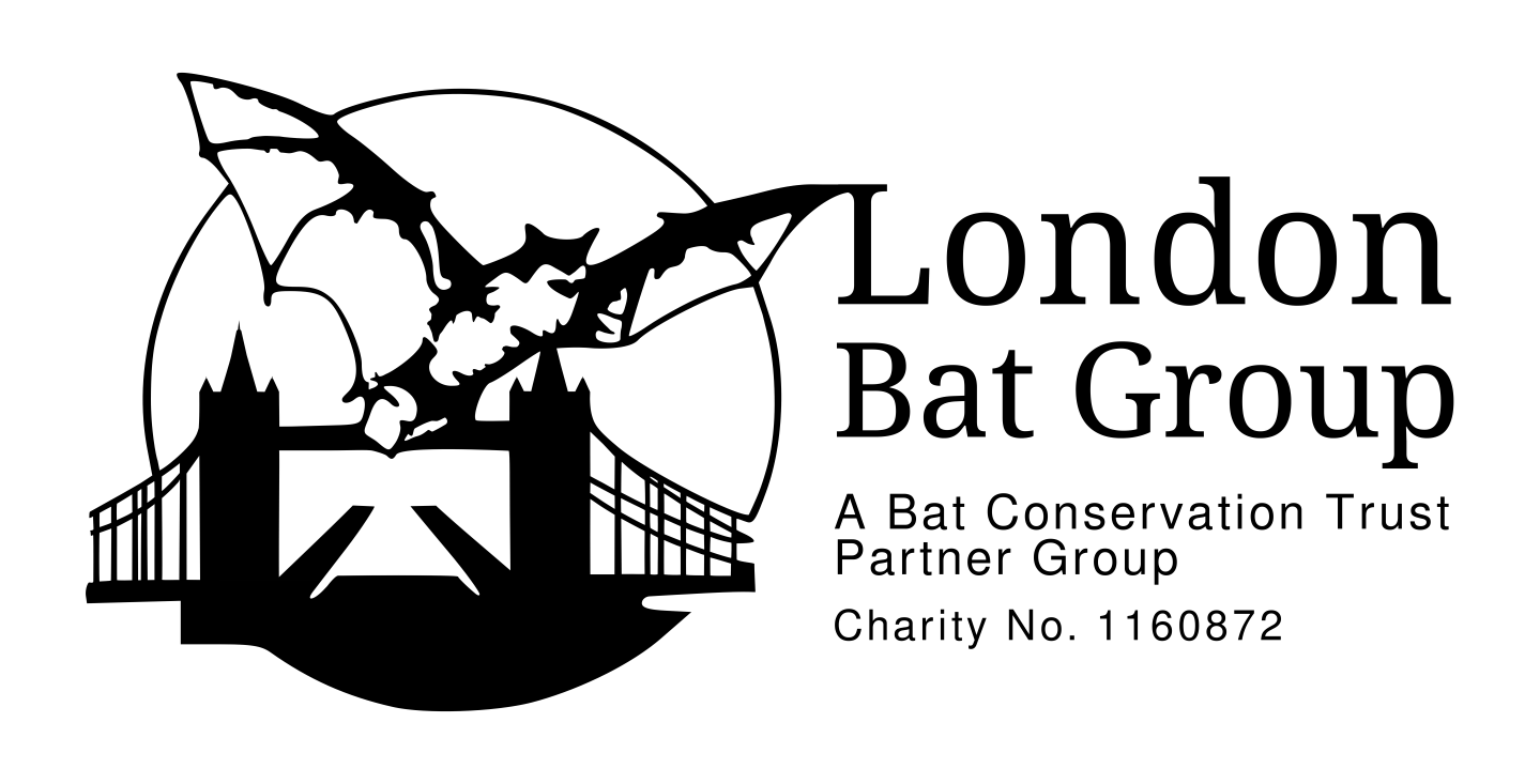 Bats of London | London Bat Group