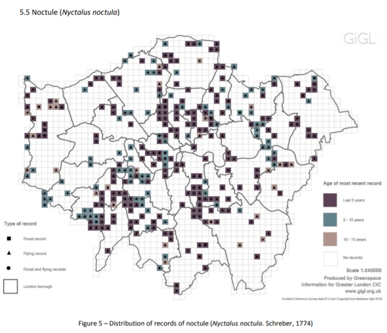The Bat Atlas of London | London Bat Group