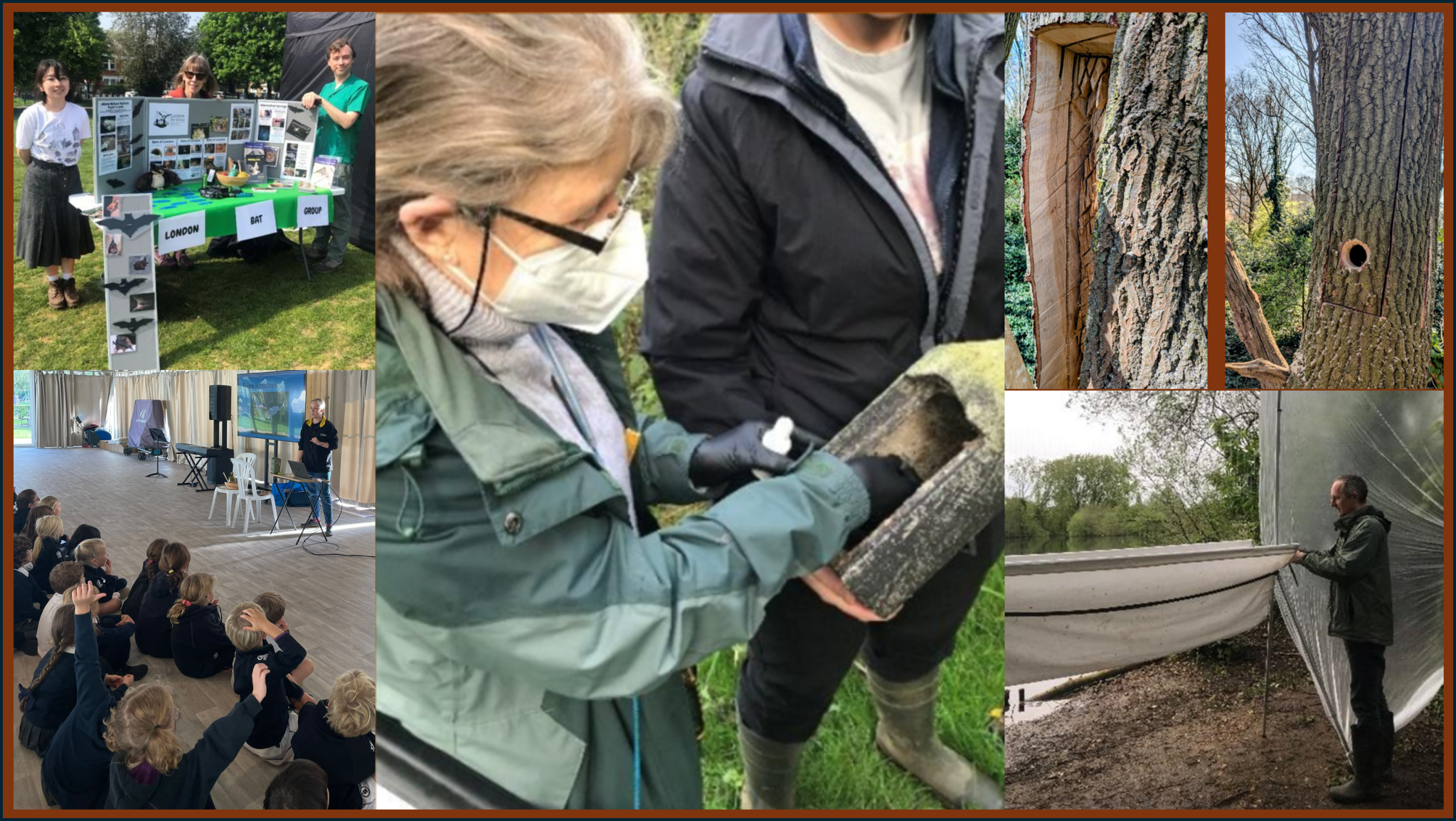 Projects | London Bat Group